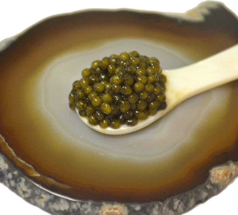 Beluga Caviar Hybrid - OLMA Caviar