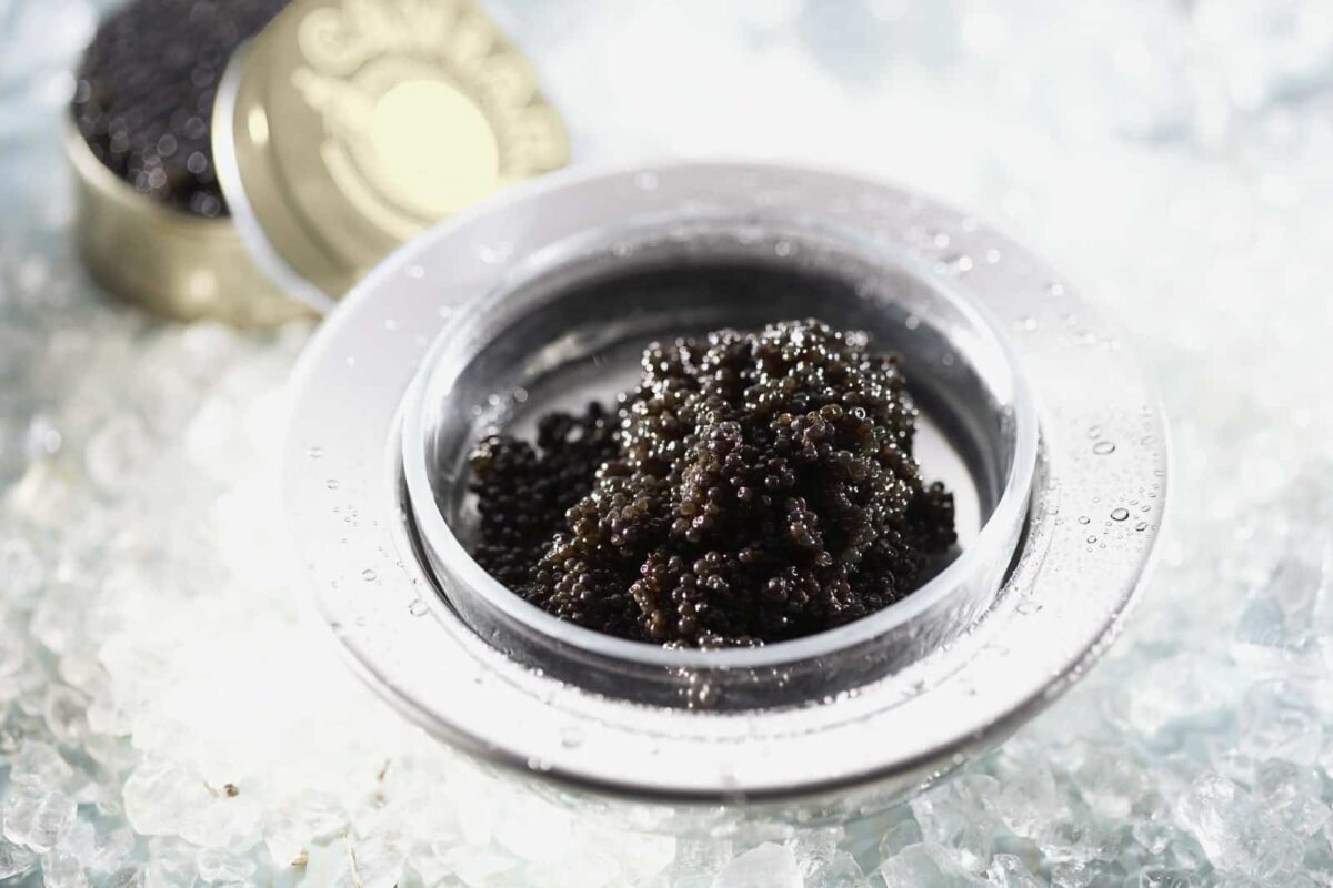 Storing and Serving Caviar - OLMA Caviar