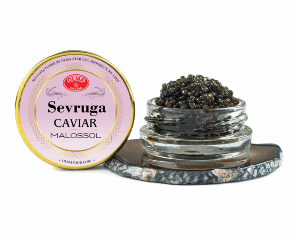 Sevruga Caviar - OLMA Caviar